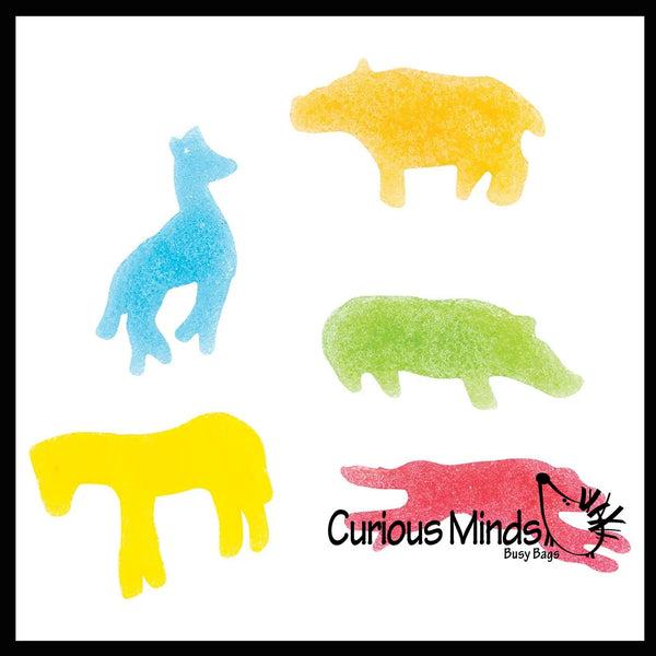 Sponge Capsules - Place in Water and Little Sponge Animals Come Out ...