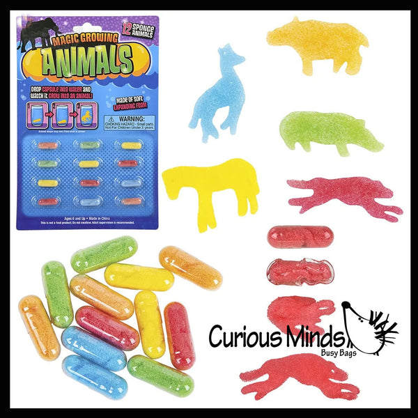 Sponge Capsules - Place in Water and Little Sponge Animals Come Out ...