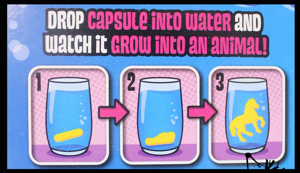 Sponge Capsules - Place in Water and Little Sponge Animals Come Out ...