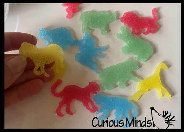 Sponge Capsules - Place in Water and Little Sponge Animals Come Out ...