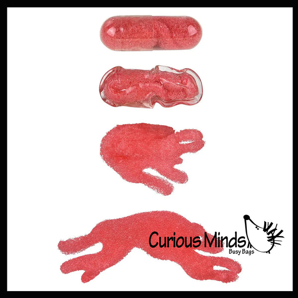 Sponge Capsules - Place in Water and Little Sponge Animals Come Out ...