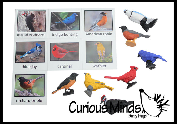 Animal Match - BIRD - Miniature Animals with Matching Cards - 2 Part C ...