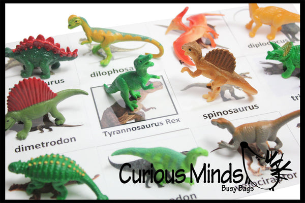 Animal Match - DINOSAURS - Miniature Animals with Matching Cards - 2 P ...