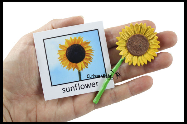 Flowers Montessori Object Match - Miniature flowers with Matching Card ...