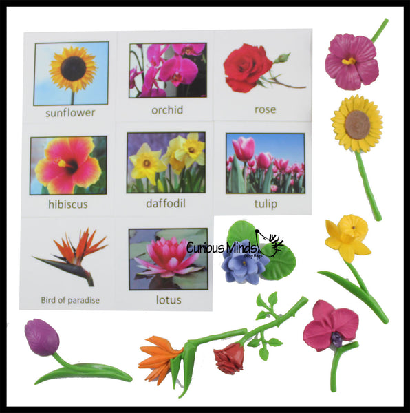 Flowers Montessori Object Match - Miniature flowers with Matching Card ...