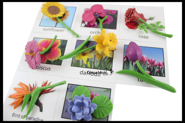 Flowers Montessori Object Match - Miniature flowers with Matching Card ...