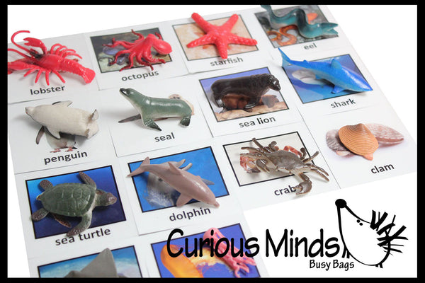 Animal Match - OCEAN - Miniature Ocean Animals with Matching Cards - 2 ...