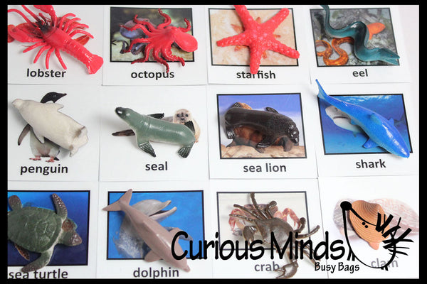 Animal Match - OCEAN - Miniature Ocean Animals with Matching Cards - 2 ...