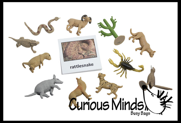 Animal Match - DESERT - Miniature Animals with Matching Cards - 2 Part ...