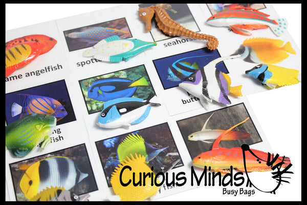 Animal Match - TROPICAL FISH - Miniature Animals with Matching Cards ...
