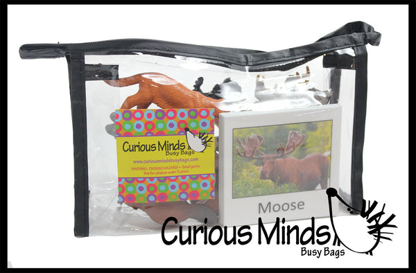 Animal Match - North American - Miniature Animals with Matching Cards ...