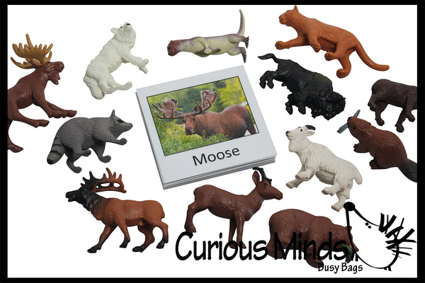 Animal Match - North American - Miniature Animals with Matching Cards ...