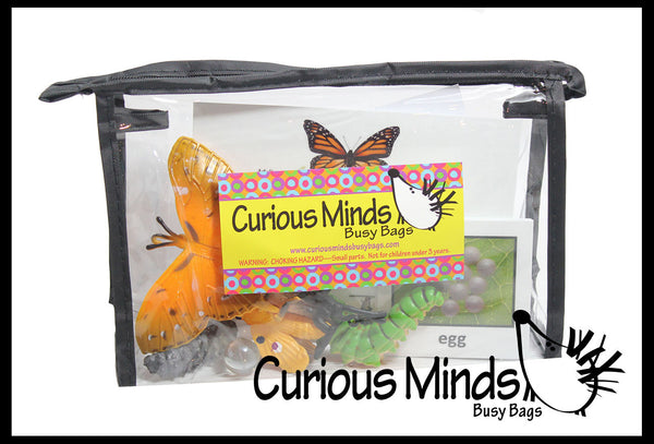Butterfly (or Frog) Life Cycle Learning Set - Animal Figures with Matc ...