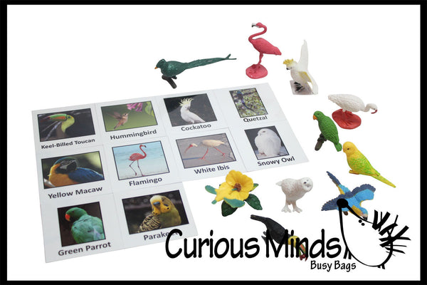 Animal Match - EXOTIC TROPICAL BIRDS - Miniature Animals with Matching ...