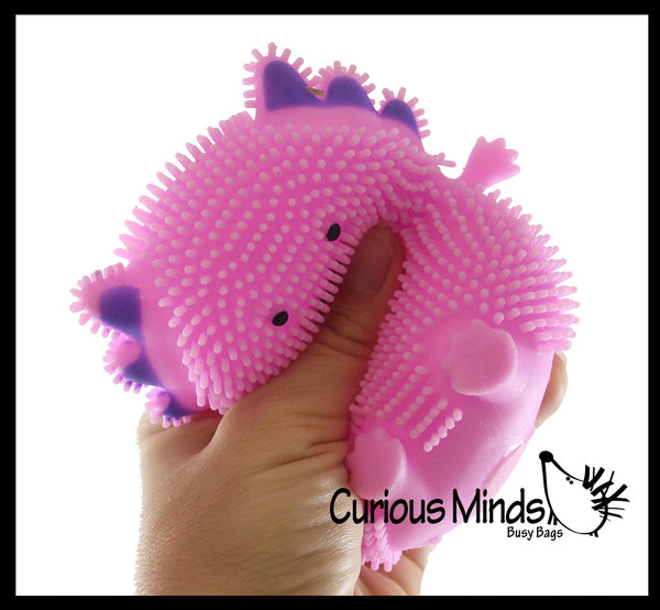 Axolotl Puffer Air- Filled Squeeze Stress Balls - Walking Fish - Senso ...