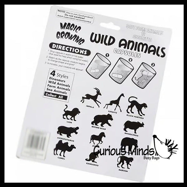 Sponge Capsules - Place in Water and Little Sponge Animals Come Out ...