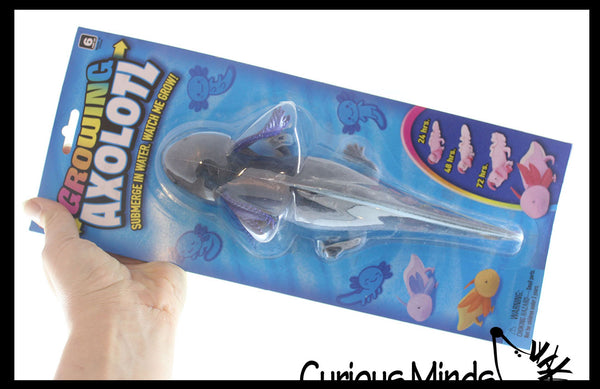 Jumbo Grow an Axolotl in Water - Add Water and it Grows - Critter Toy ...