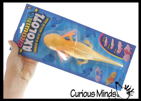 Jumbo Grow an Axolotl in Water - Add Water and it Grows - Critter Toy ...