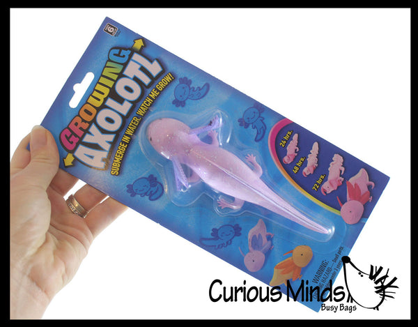 Jumbo Grow an Axolotl in Water - Add Water and it Grows - Critter Toy ...