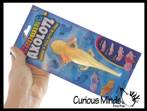 Jumbo Grow an Axolotl in Water - Add Water and it Grows - Critter Toy ...