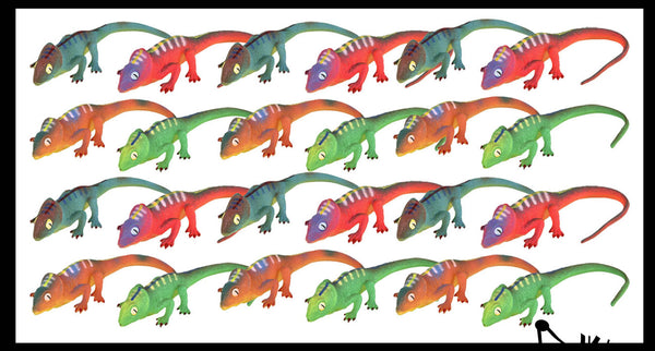 Jumbo Grow a Lizard in Water - Add Water and it Grows - Critter Toy Ba ...