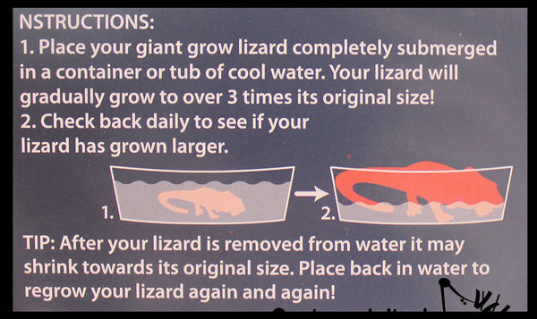 Jumbo Grow a Lizard in Water - Add Water and it Grows - Critter Toy Ba ...