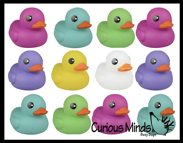 Jumbo Solid Pastel Rubber Ducks - Rubber Ducky Duckies - Cute Novelty ...