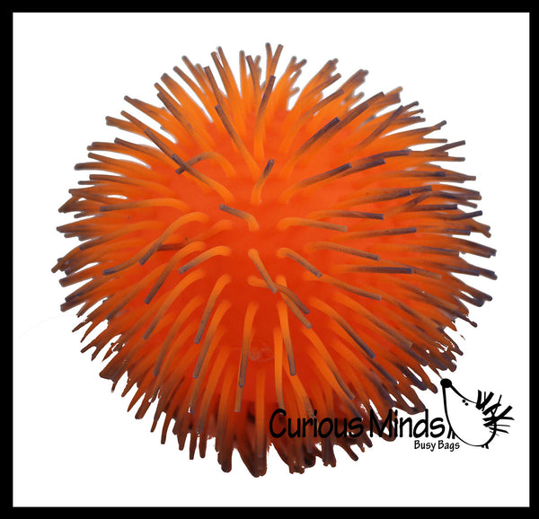 6" Puffer Ball - Indoor Soft Hairy Air-Filled Sensory Ball | Curious ...