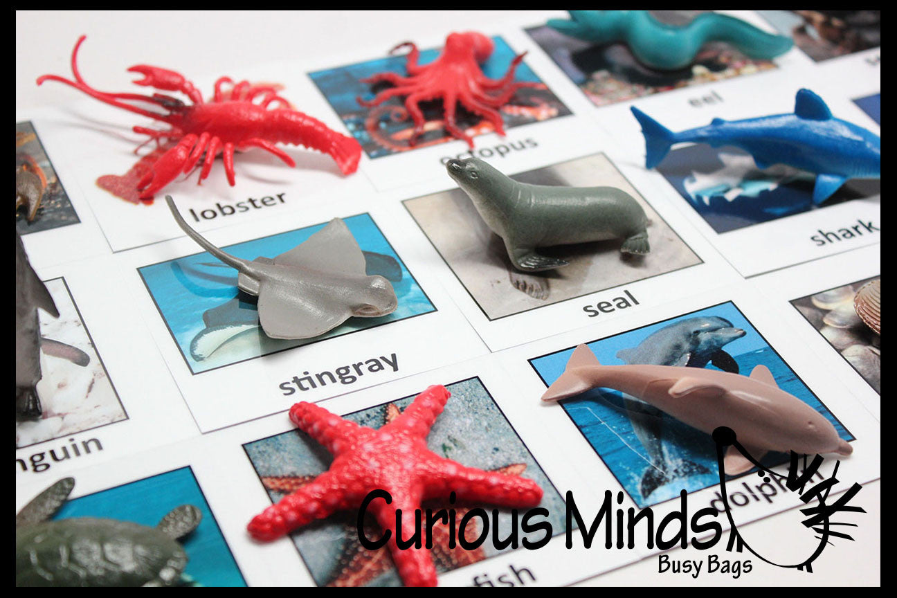 Animal Match - OCEAN - Miniature Ocean Animals with Matching Cards - 2 ...