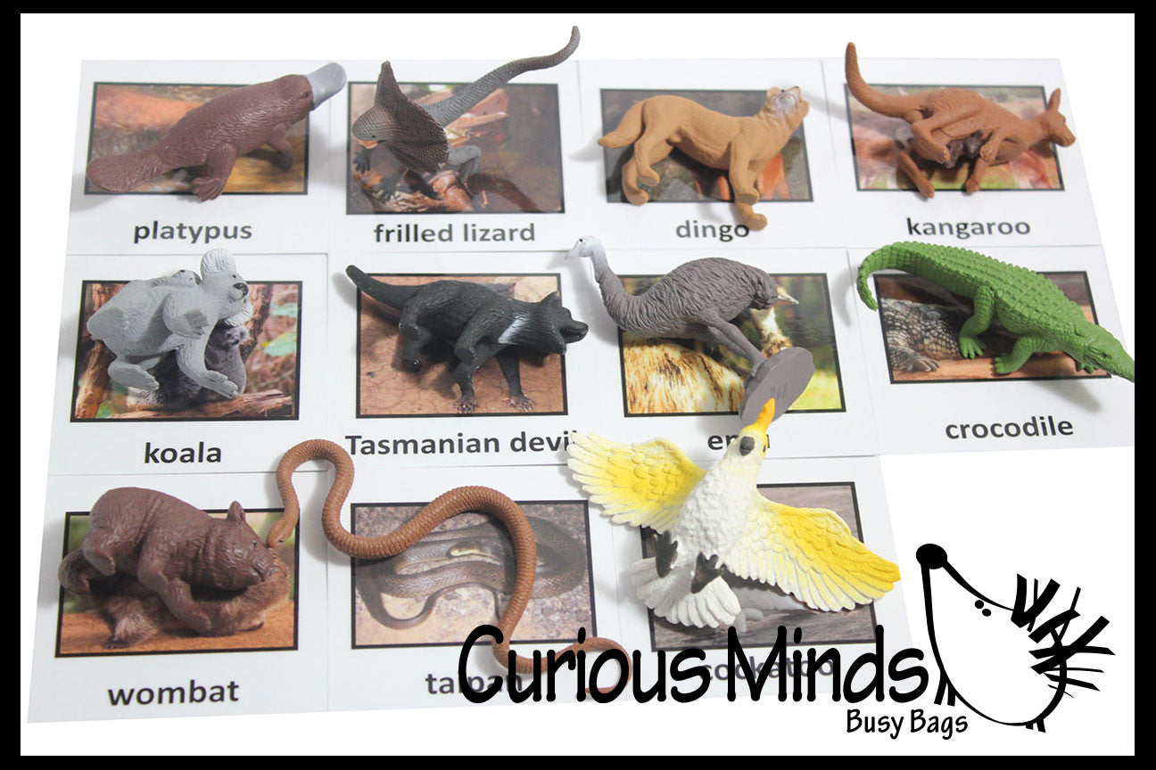 Animal Match - AUSTRALIAN - Miniature Animals with Matching Cards - 2 ...