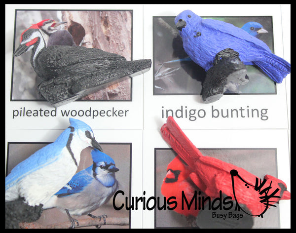 Animal Match - BIRD - Miniature Animals with Matching Cards - 2 Part C ...