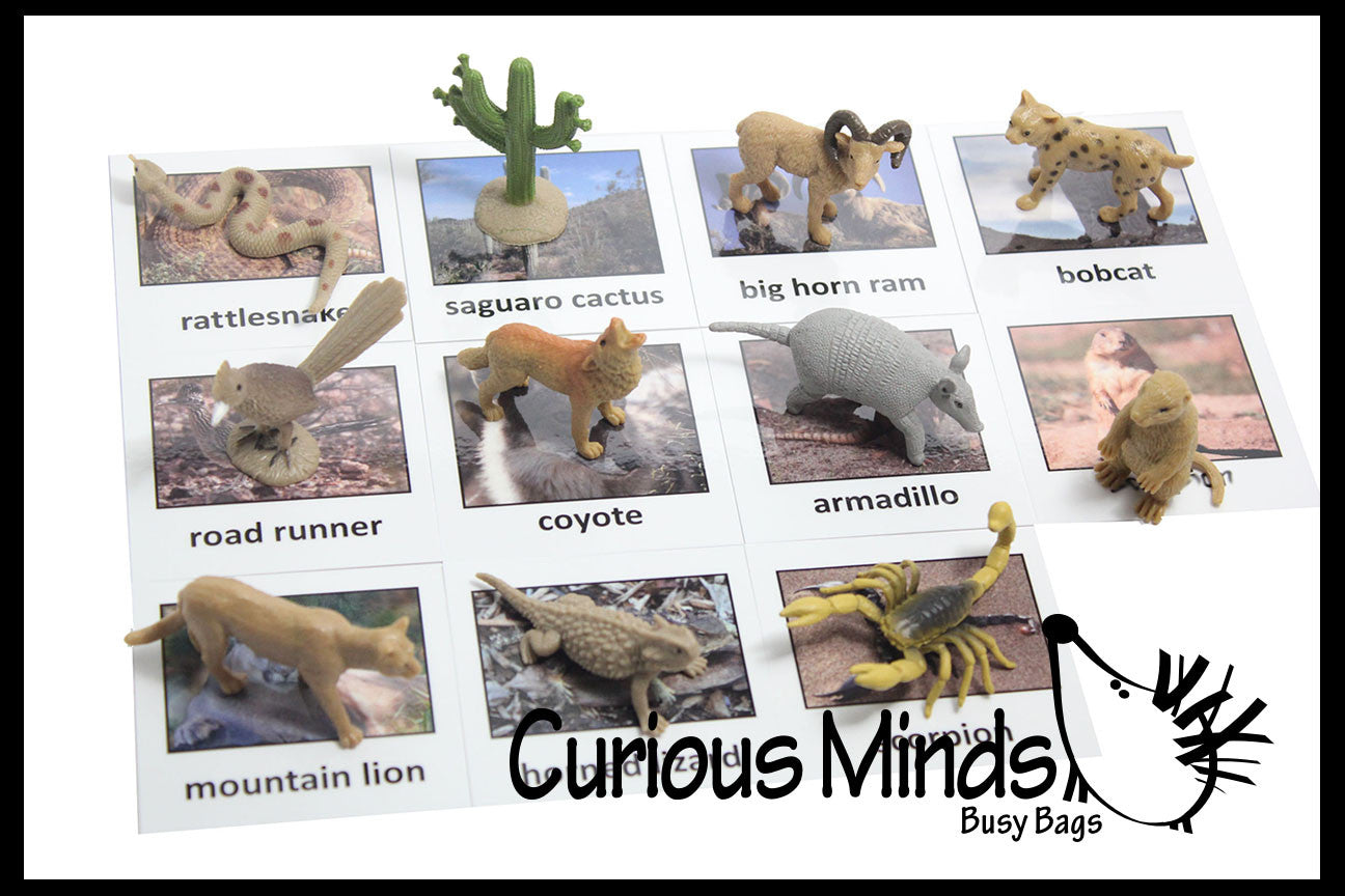 Animal Match - DESERT - Miniature Animals with Matching Cards - 2 Part ...