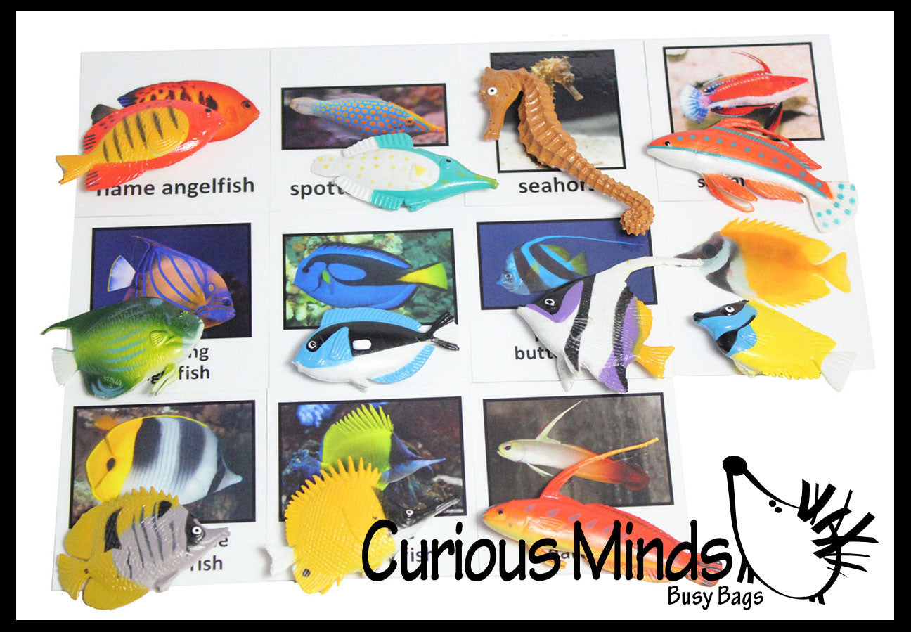 Animal Match - TROPICAL FISH - Miniature Animals with Matching Cards ...