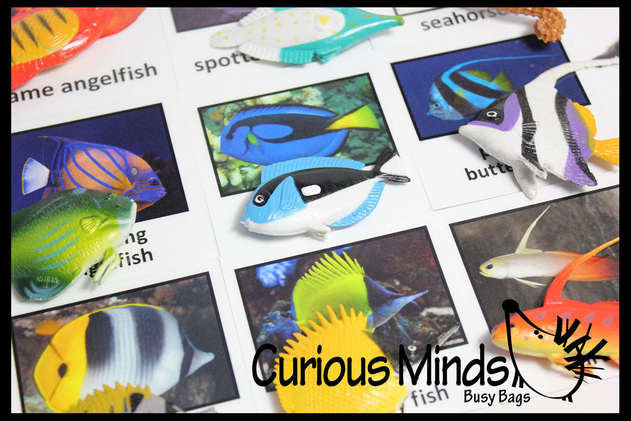 Animal Match - TROPICAL FISH - Miniature Animals with Matching Cards ...