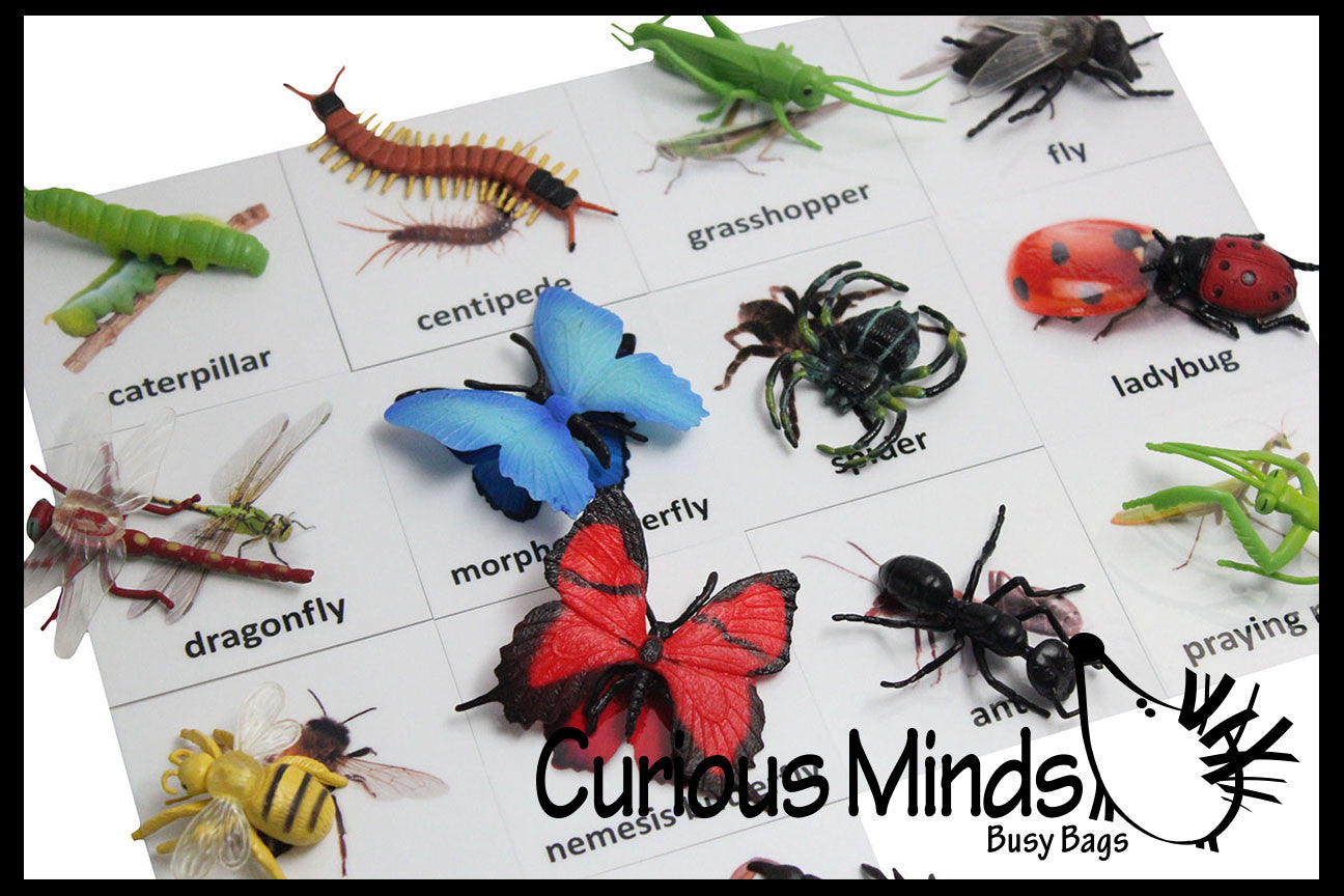 Animal Match - INSECTS & BUGS - Miniature Animals with Matching Cards ...