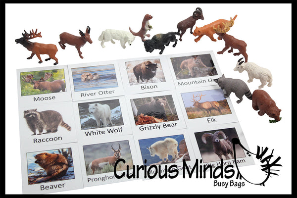 Animal Match - North American - Miniature Animals with Matching Cards ...