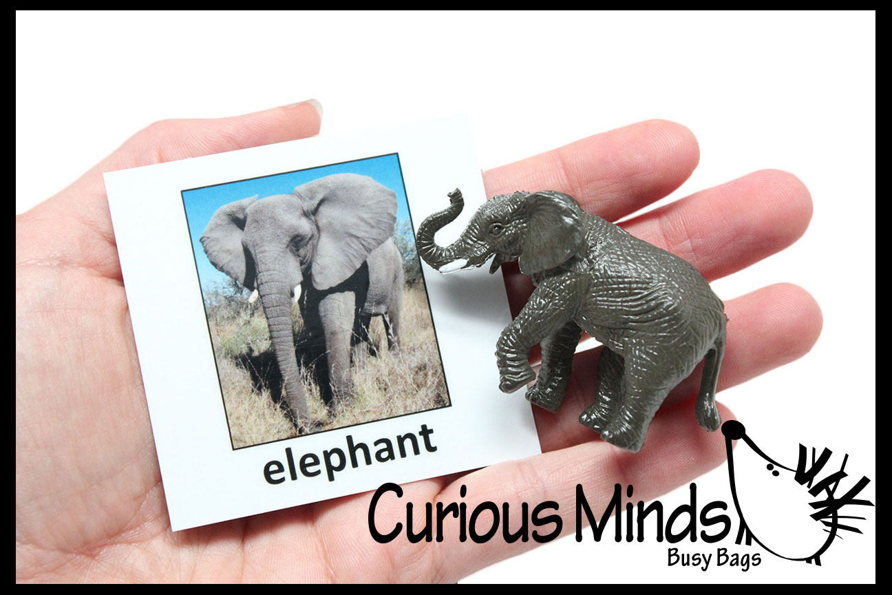 Animal Match - SAFARI -Miniature Animals with Matching Cards - 2 Part ...