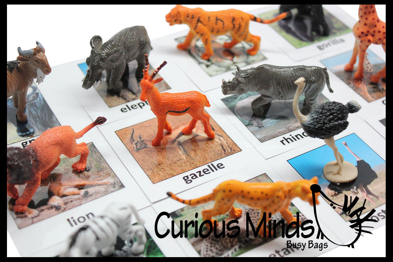 Animal Match - SAFARI -Miniature Animals with Matching Cards - 2 Part ...