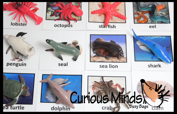 Animal Match - OCEAN - Miniature Ocean Animals with Matching Cards - 2 ...