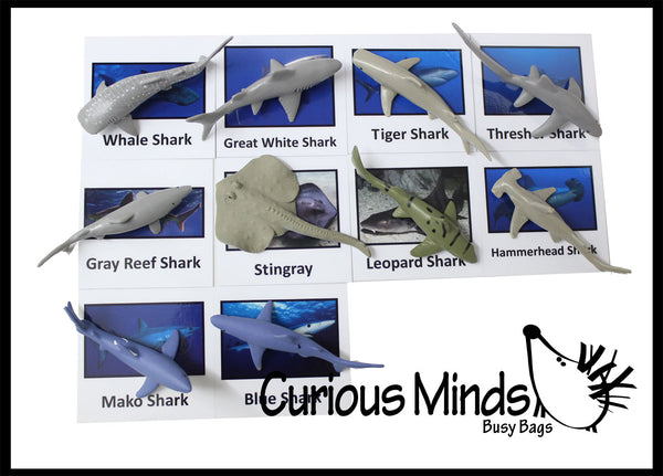 Animal Match - SHARK - Miniature Animals with Matching Cards - 2 Part ...