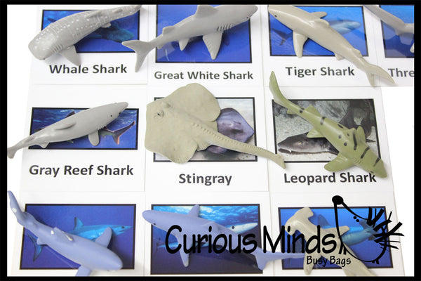 Animal Match - SHARK - Miniature Animals with Matching Cards - 2 Part ...