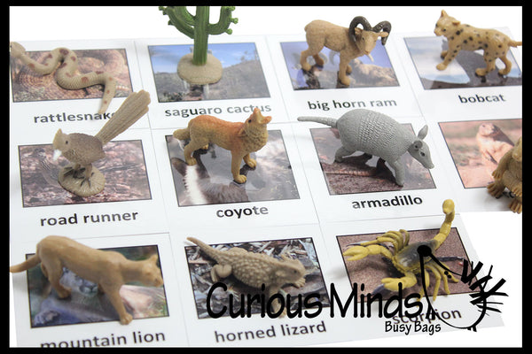 Animal Match - DESERT - Miniature Animals with Matching Cards - 2 Part ...
