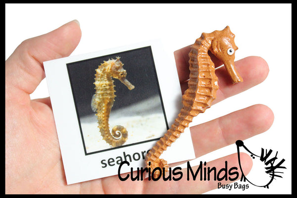 Animal Match - TROPICAL FISH - Miniature Animals with Matching Cards ...