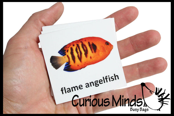 Animal Match - TROPICAL FISH - Miniature Animals with Matching Cards ...