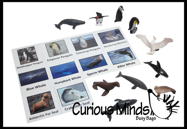 Animal Match - ANTARCTICA - Miniature Animals with Matching Cards - 2 ...