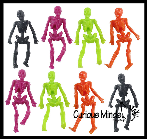 Colorful Stretchy Skeletons - Novelty Toy Fidget Set for Anatomy Docto ...