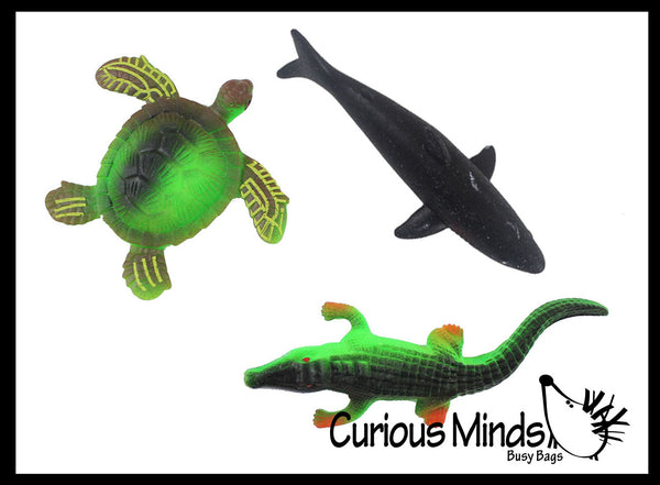 Grow an Animal in Water - Add Water and it Grows up to 9" - Sea Critte ...