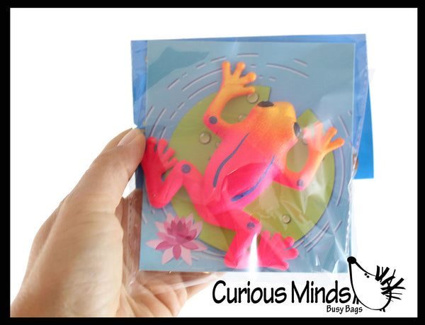 Large Grow a Frog in Water - Add Water and it Grows - Frog Critter Toy ...