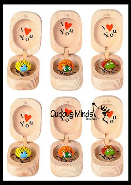 Love bug in Box Novelty Gift - Bugs Legs Wiggle So it Looks Alive - Wo ...