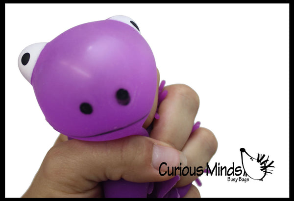 CLEARANCE - SALE - Small Puffer Frog Ball - Squishy Sensory Fidget Bal ...